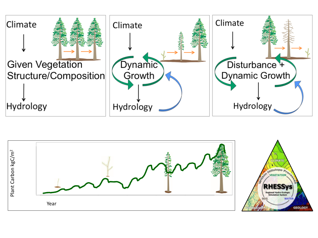 Ecohydrology & Informatics: Seeing the Water in the Trees – The Tague Team Lab