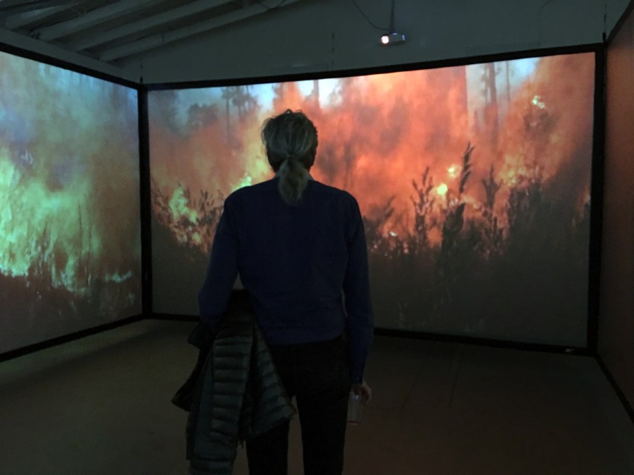 Animated RHESSys output – The Tague Team Lab